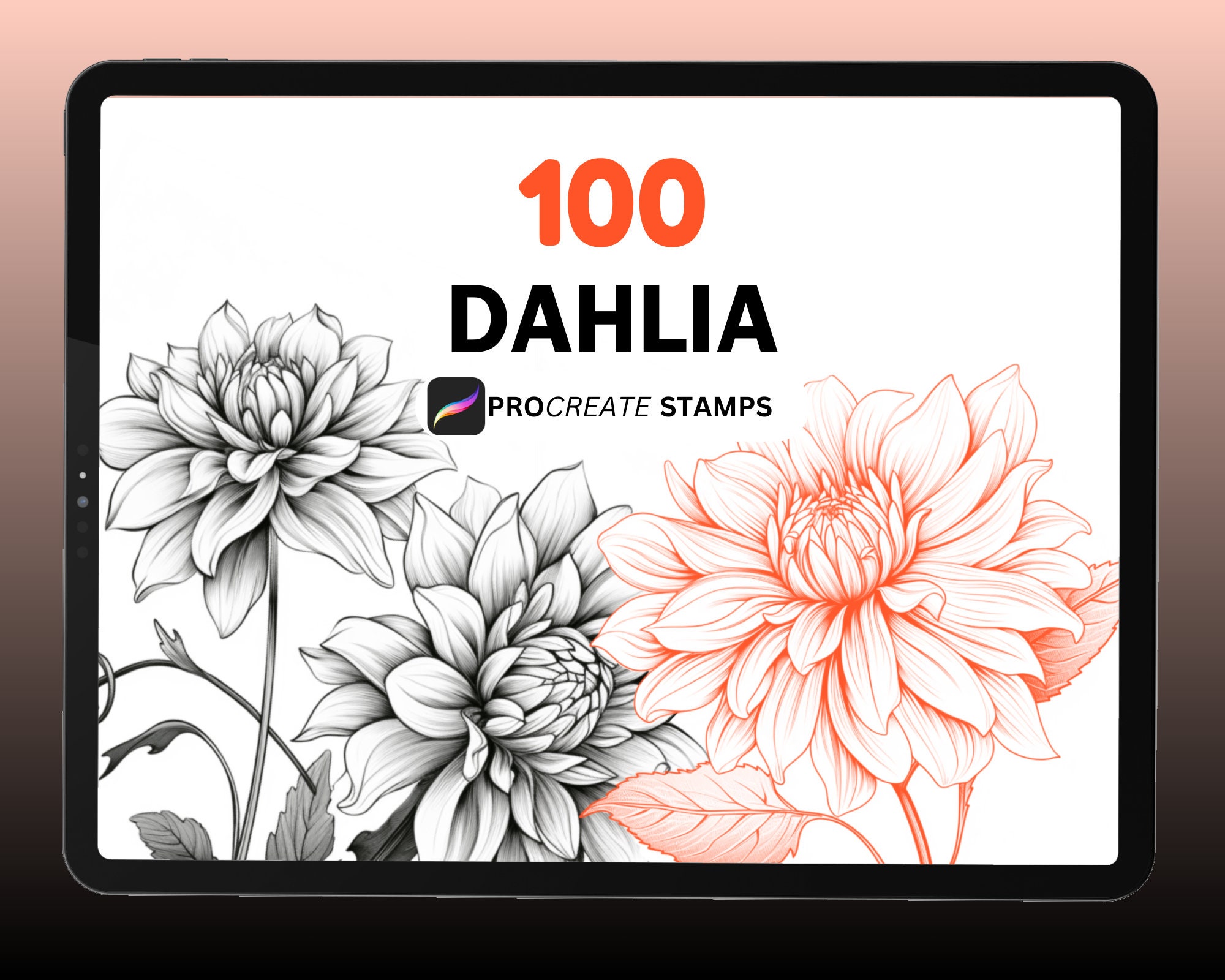 100 Dahlia Flower Procreate Stamps: Botanical Brush Set (digital ...