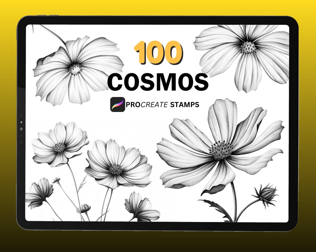100 Procreate Cosmos Flower Stamps, Cosmos Flower Stamp, Procreate ...