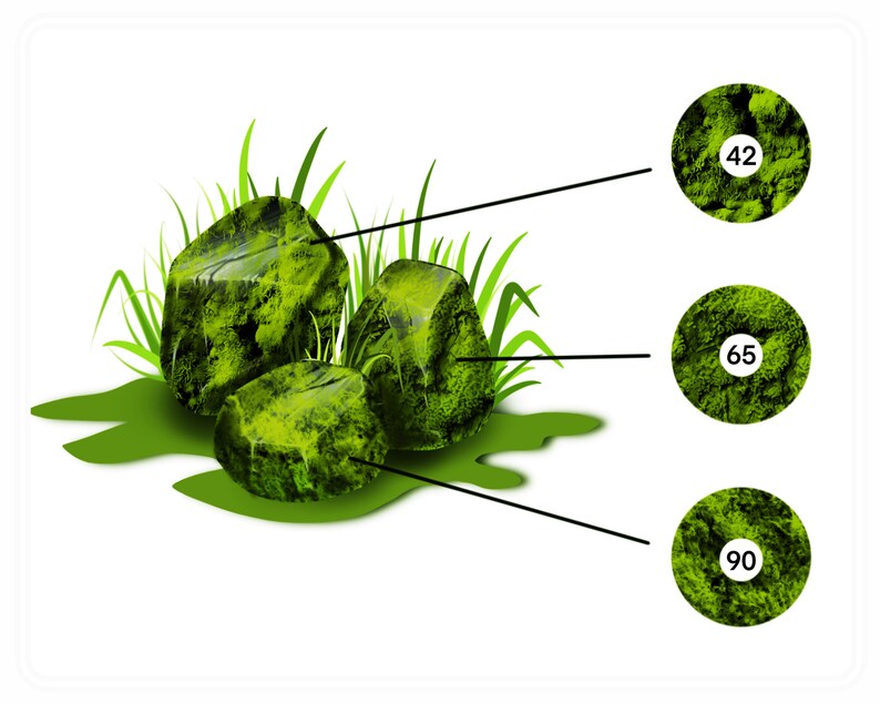 100 Procreate Moss Texture Brushes, Seamless Moss Texture for Procreate ...