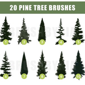 Pine Procreate Brushes, Pine Tree Brush, Tree Brushes, Forest Procreate ...