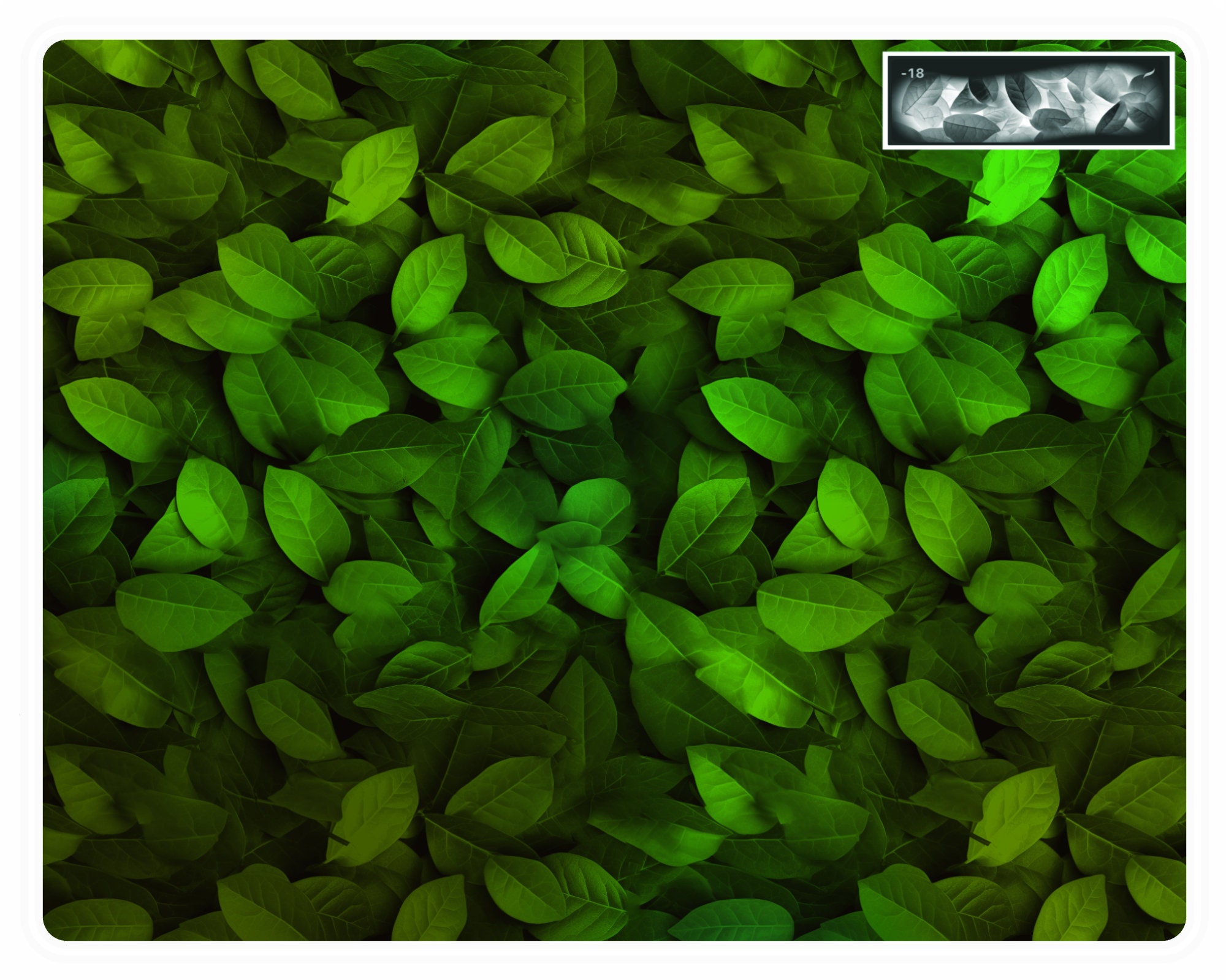 100 Procreate Leaf Texture Brushes, Leaf Texture for Procreate, Foliage ...