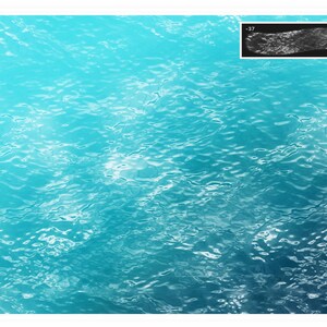 Procreate Water Texture Brushes, Realistic Water Texture for Procreate ...