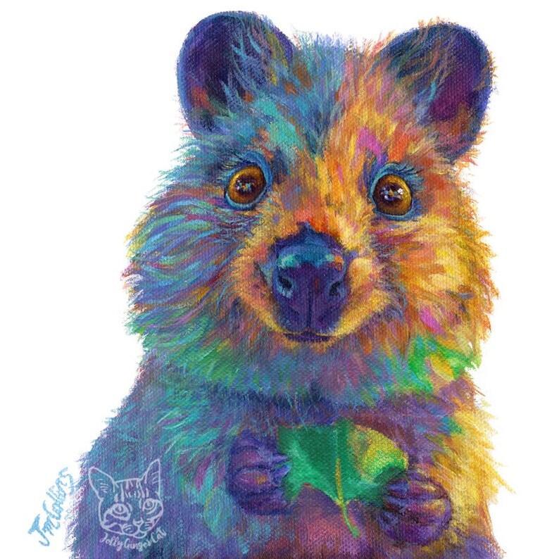 Kevin the Quokka Art Print, Australian Animal Nursery Decor - Etsy