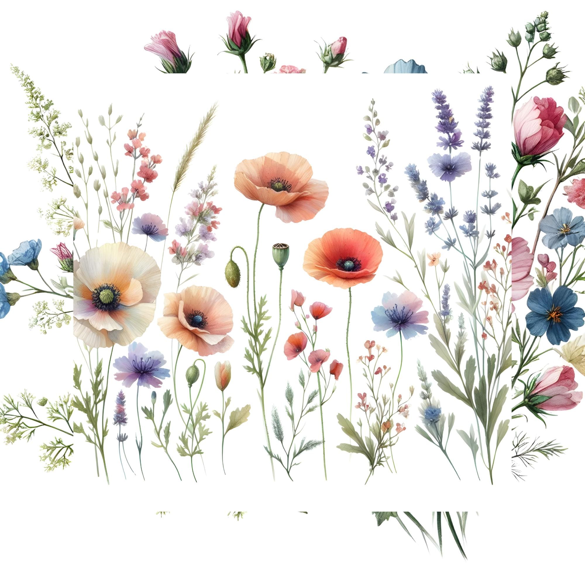 15 Wildflower Watercolor Clipart Bundle, Spring Cute Floral Clipart ...