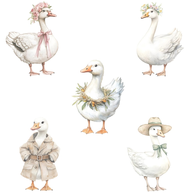 Watercolor Rustic Goose Clipart, Whimsical Cute Goose PNG, Silly Goose ...