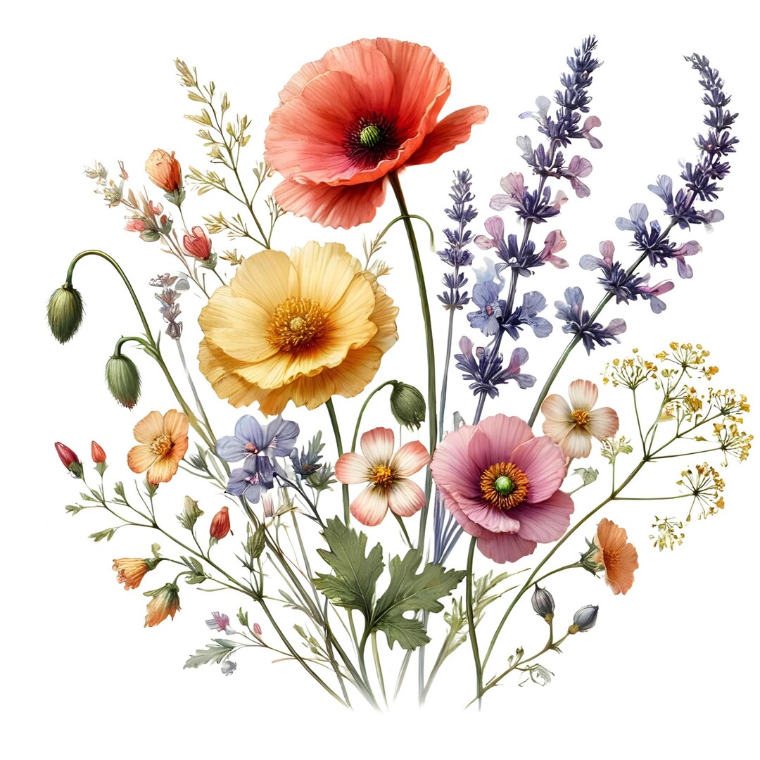 15 Wildflower Watercolor Clipart Bundle, Spring Cute Floral Clipart ...