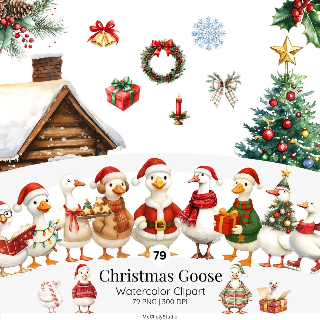 Christmas Goose Clipart, Watercolor Christmas Silly Goose PNG, Xmas ...
