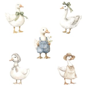 Watercolor Rustic Goose Clipart, Whimsical Cute Goose PNG, Silly Goose ...