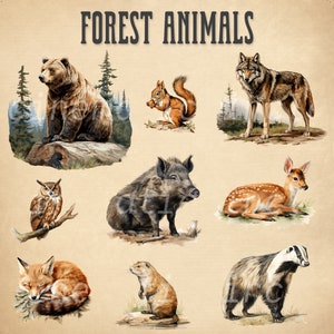 Vintage Forest Animals Clipart Bundle, Watercolor Woodland Png, Deer ...