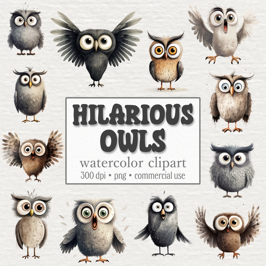 Funny Owl Clipart Bundle, Hilarious Owls Graphics, Cute and Crazy Birds ...