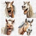 Funny and Crazy Horse Clipart Bundle, Horses PNG, Watercolor Foal ...