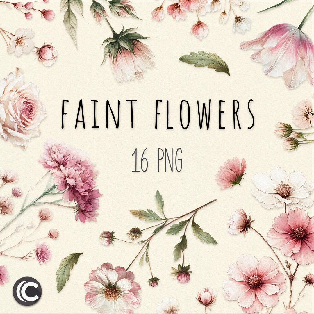 Faint Pink Flowers Clipart Bundle, Dusty Flower PNG, Watercolor Florals ...