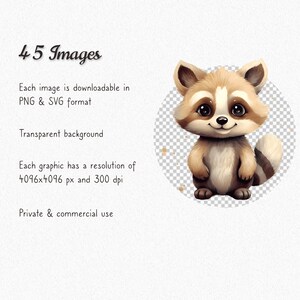 Watercolor Cute Racoon Clipart Bundle, Racoon PNG & SVG, Baby Animal ...
