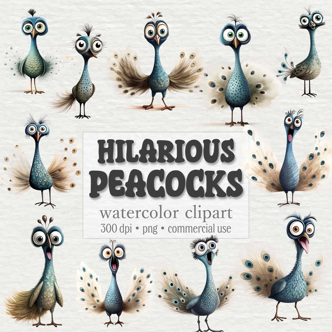 Funny Peacock Clipart Bundle, Hilarious Peacocks Illustrations, Cute ...