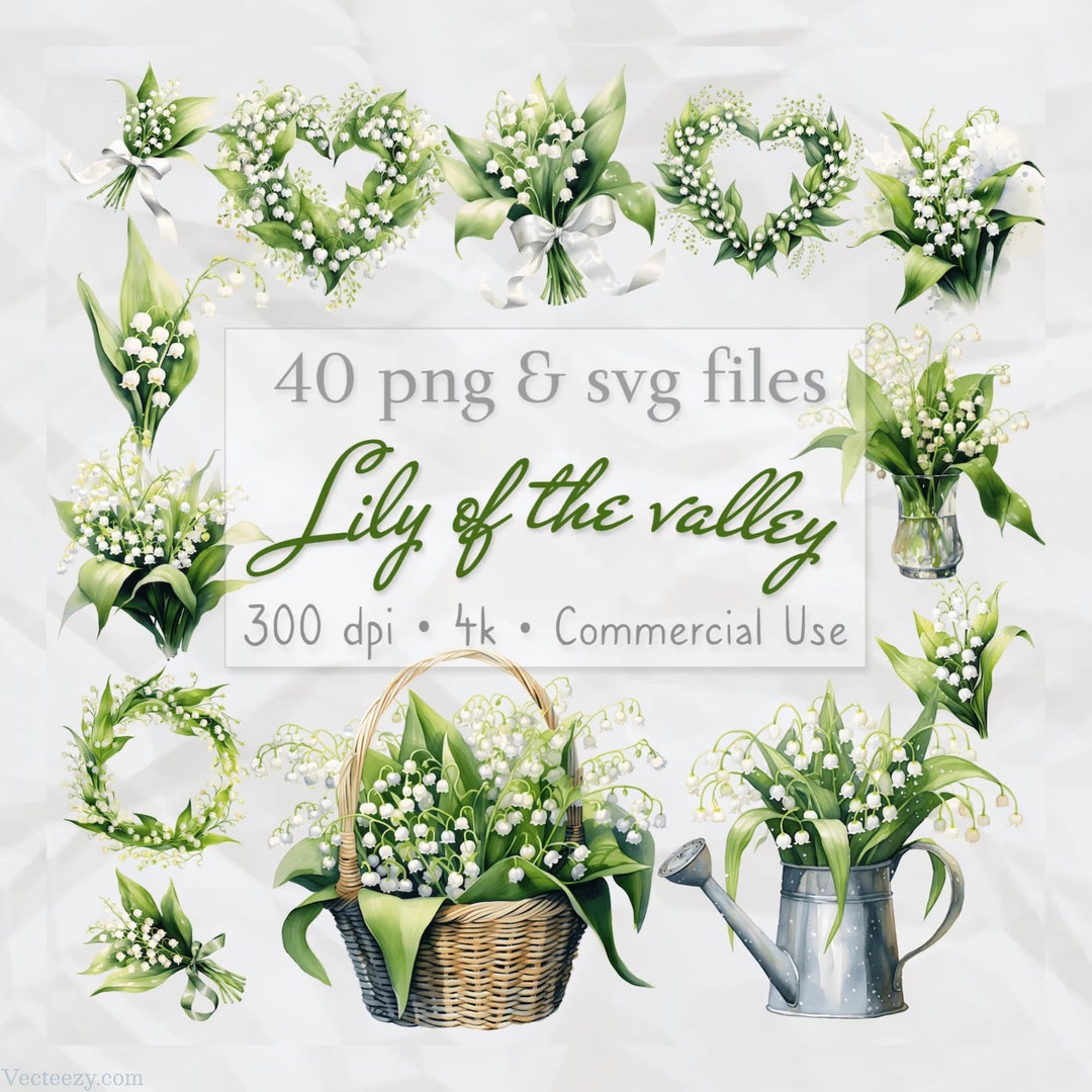 Lily of the Valley Clipart, Watercolor Flowers, Floral Clipart, Wedding ...