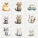 Funny & Hilarious Cat Clipart PNG Bundle, Chubby and Fat Cats ...