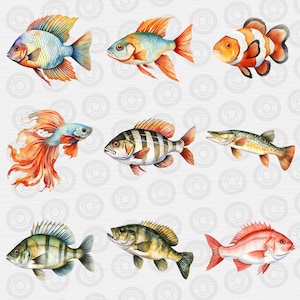 Fish Clipart Bundle, Vintage Fish, Fishing Illustrations, Sea Fish ...