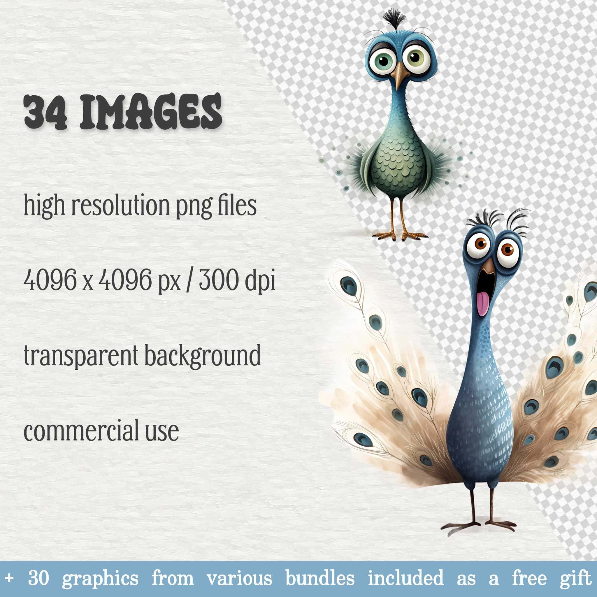 Funny Peacock Clipart Bundle, Hilarious Peacocks Illustrations, Cute ...