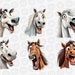 Crazy and Funny Horse Clipart Bundle, Horse Portrait, Cartoon Horses ...