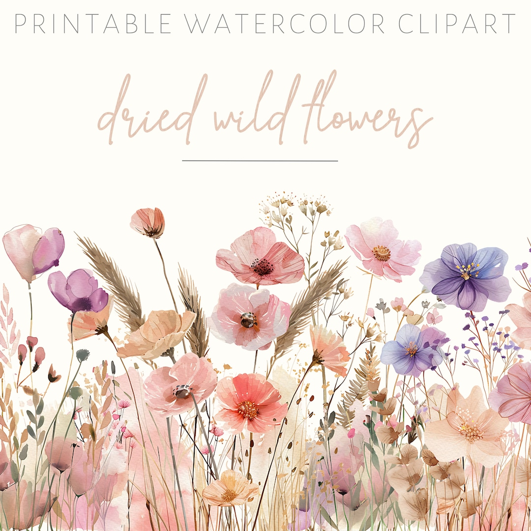 Dried Wild Flowers Clipart Bundle, Watercolor Floral PNG, Dried Plants ...