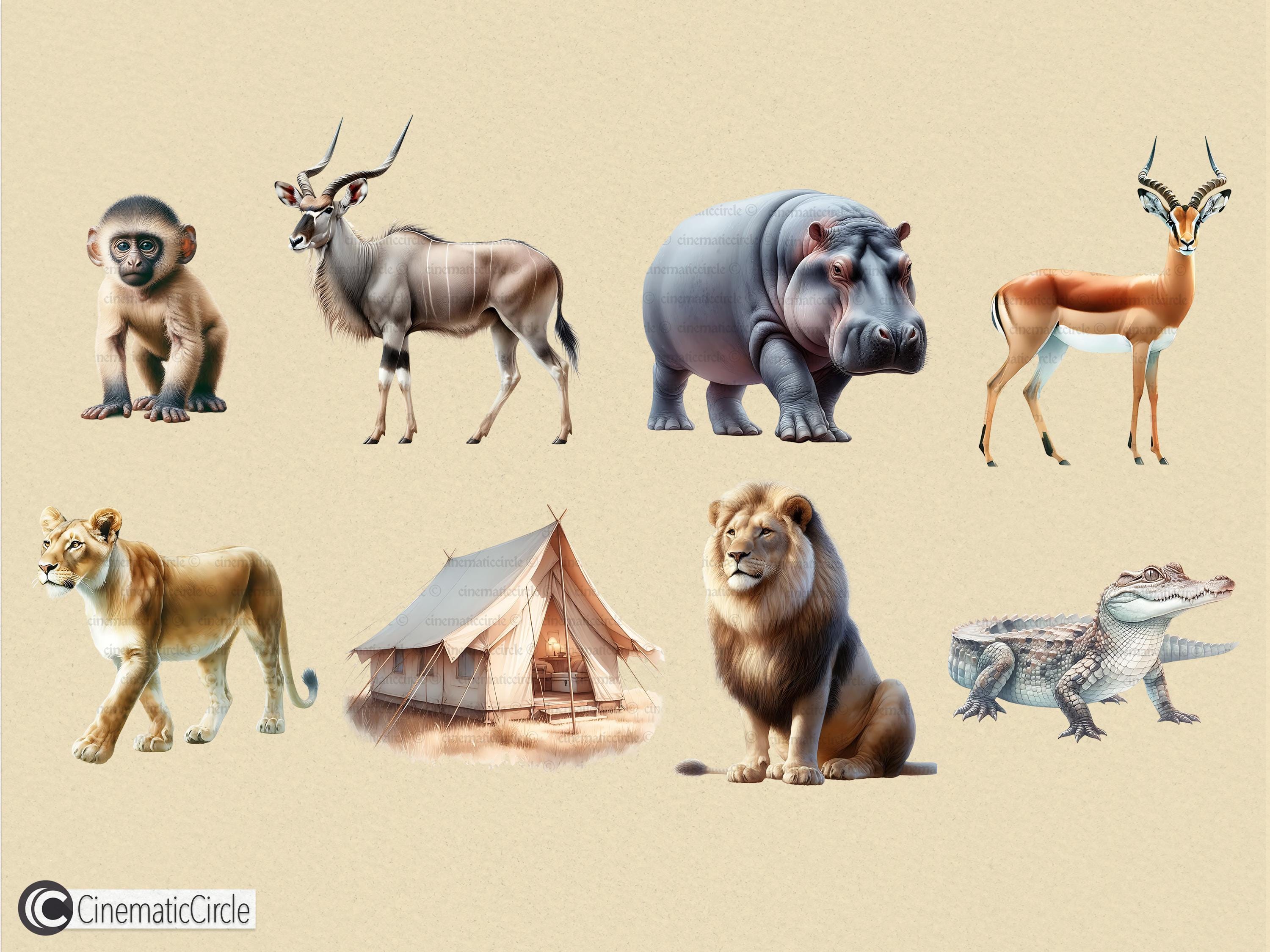 Watercolor Safari Wildlife Clipart Bundle, Cute Baby Animals PNG ...