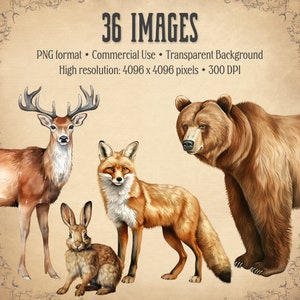 Vintage Forest Animals Clipart Bundle, Watercolor Woodland Png, Deer ...