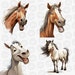 Funny and Crazy Horse Clipart Bundle, Horses PNG, Watercolor Foal ...