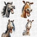 Funny and Crazy Horse Clipart Bundle, Horses PNG, Watercolor Foal ...