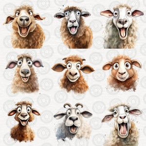 Funny and Crazy Sheep Clipart Bundle, Sheep PNG, Watercolor Cute Farm ...
