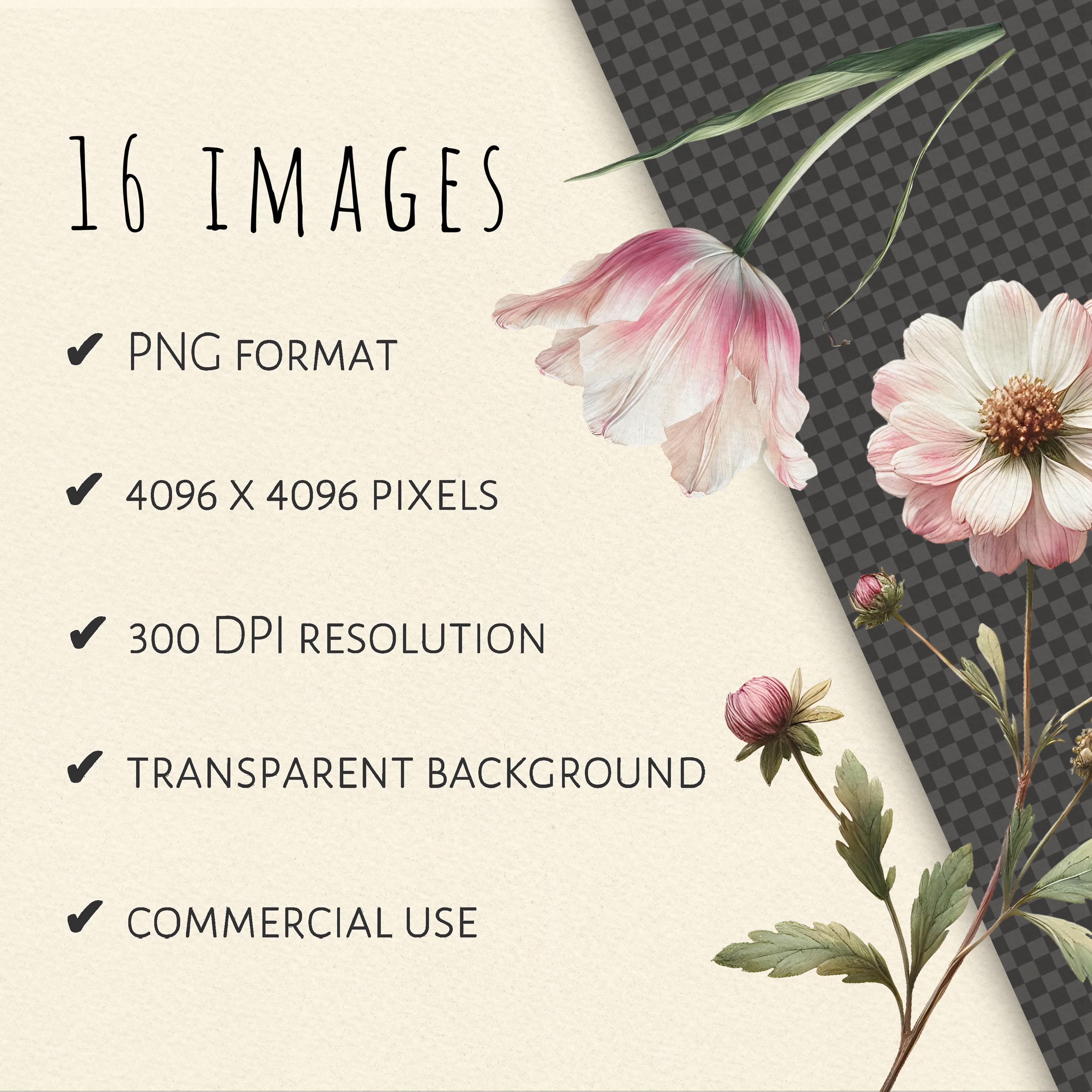 Faint Pink Flowers Clipart Bundle, Dusty Flower PNG, Watercolor Florals ...