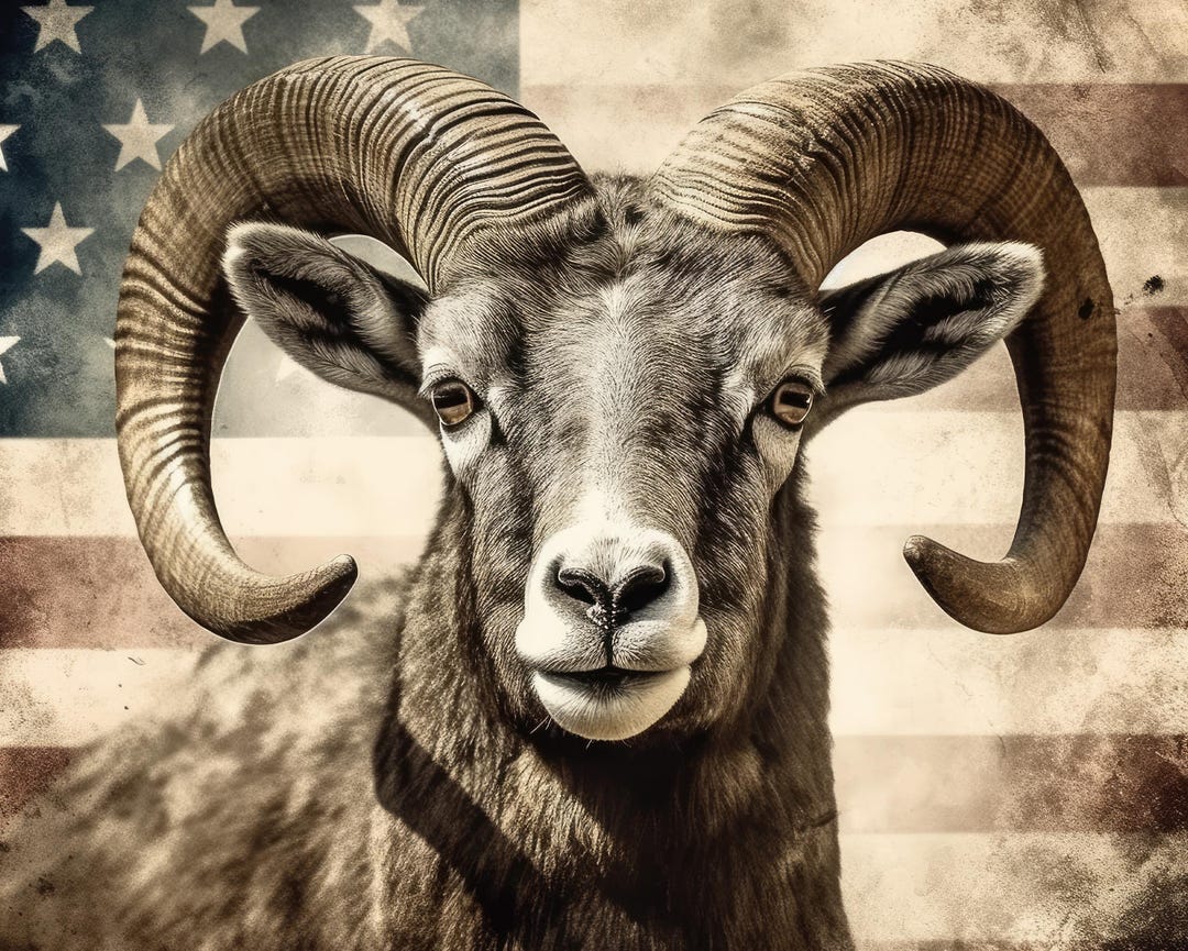 Big Horn Sheep 1 Rustic Patriotic Flag Ram Totem PDF Instant Digital ...