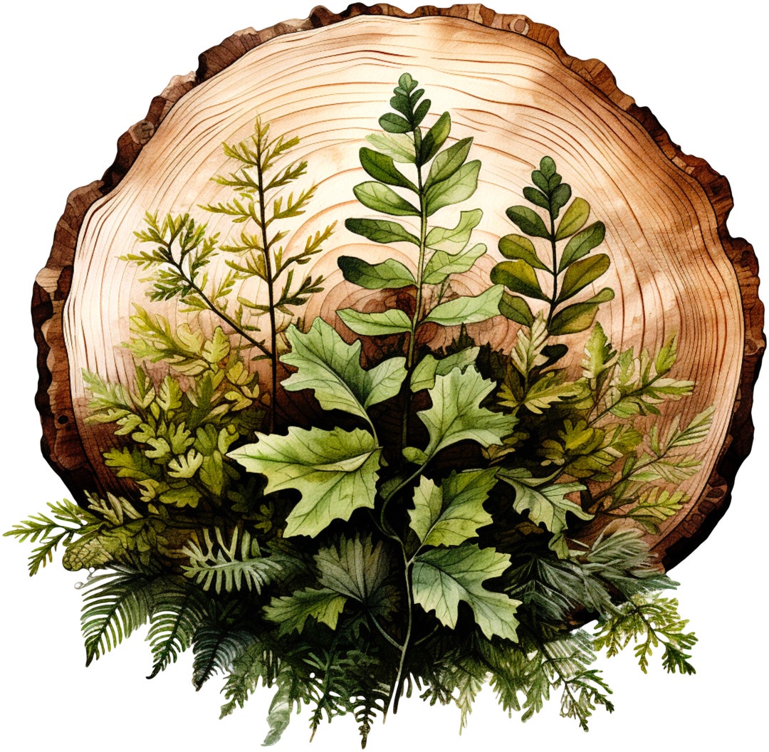 Wood Slice Nature Art Pattern Keeper Compatible PDF Instant Digital ...