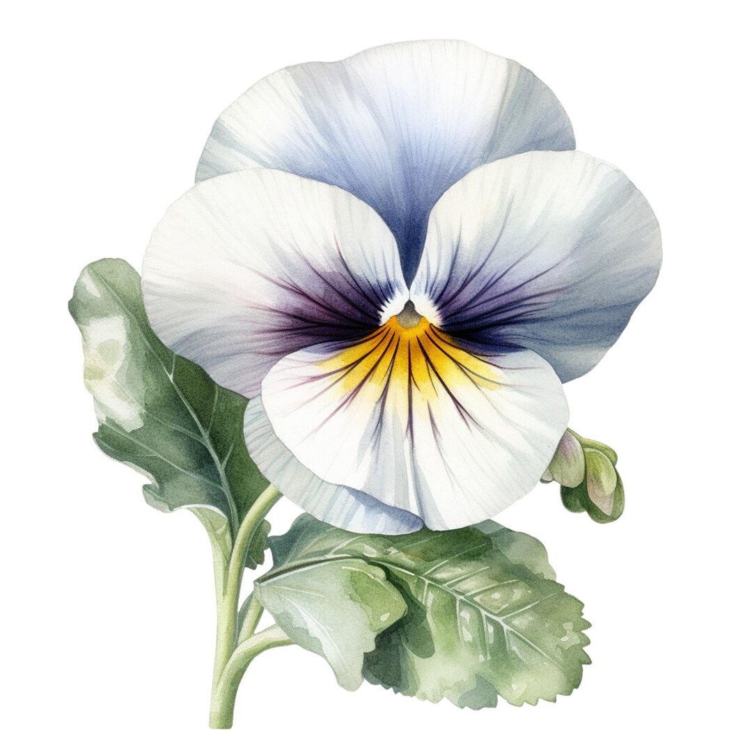 Small Pattern White Pansy 13 Pattern Keeper Compatible PDF Instant ...