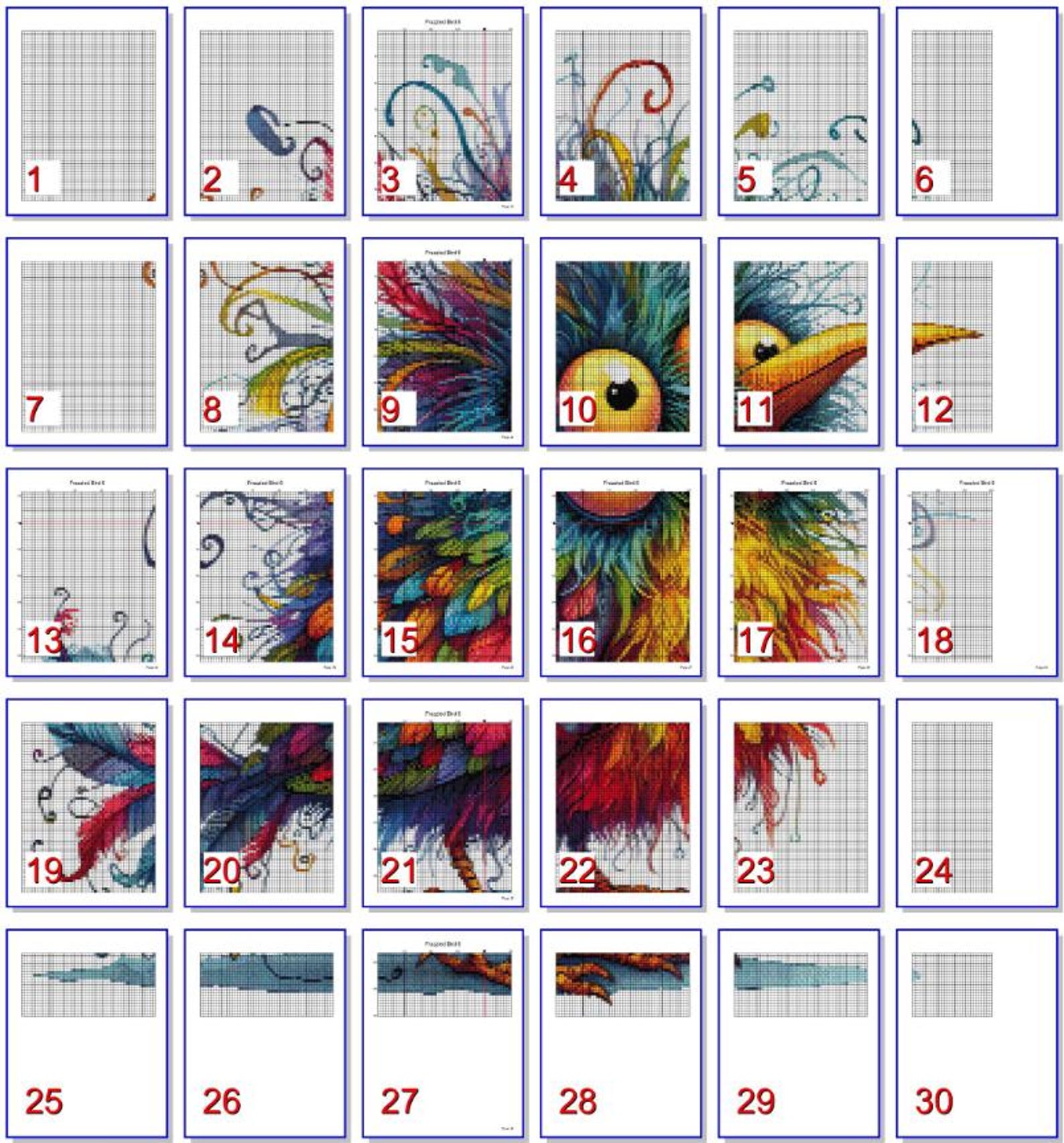 Frazzled Rainbow Bird 6 PDF Instant Digital Download Counted Cross ...