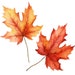 Small Pattern Bright Autumn Fall Maple Leaves Pattern Keeper Compatible ...