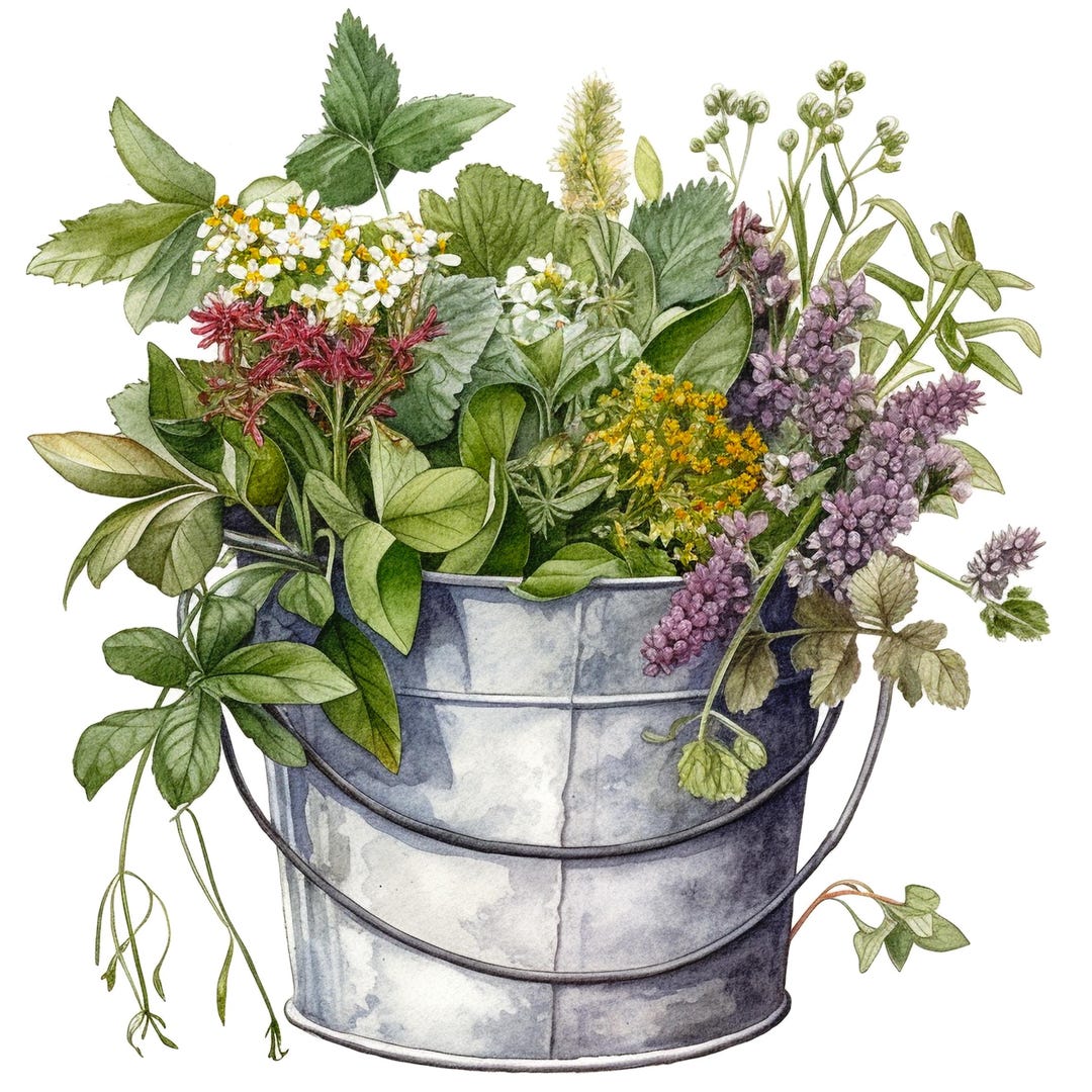 Boho Bucket of Herbs 7 Still Life, Pattern Keeper Compatible PDF ...