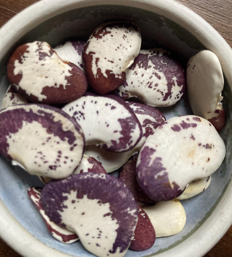 Heirloom lima bean seed mix- 11 varieties - Etsy Polska