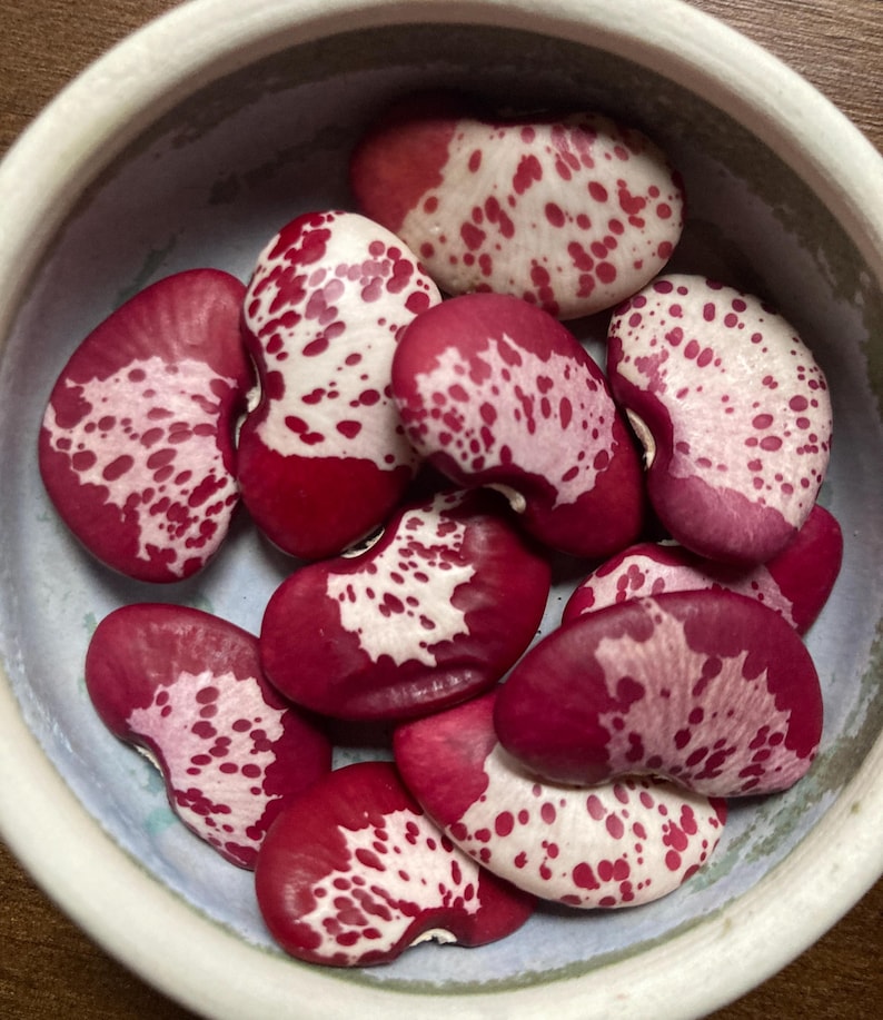 Heirloom lima bean seed mix- 11 varieties - Etsy Polska