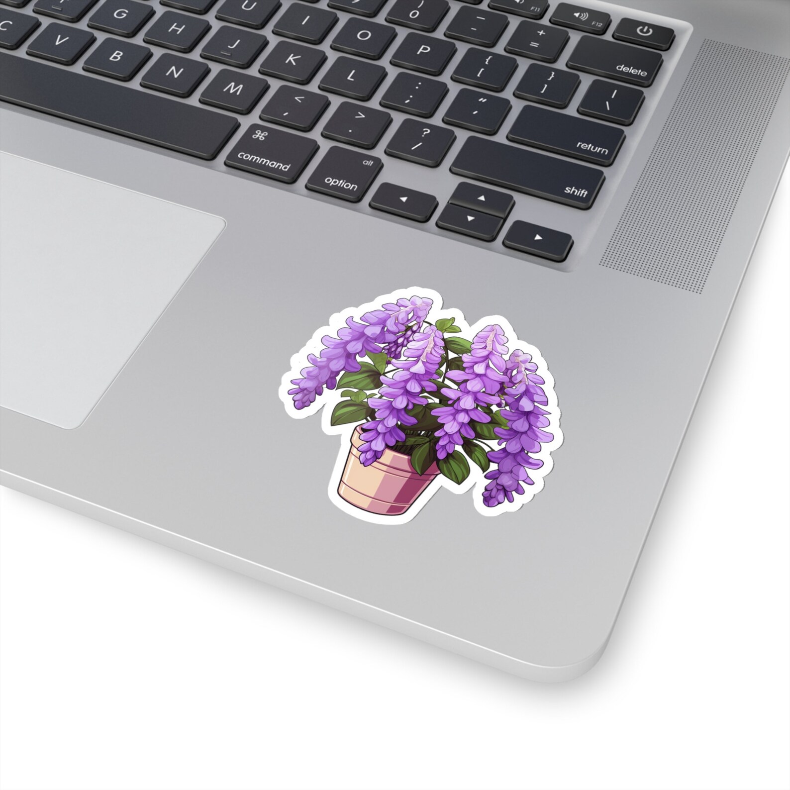 Chinese Wisteria Sticker - Etsy
