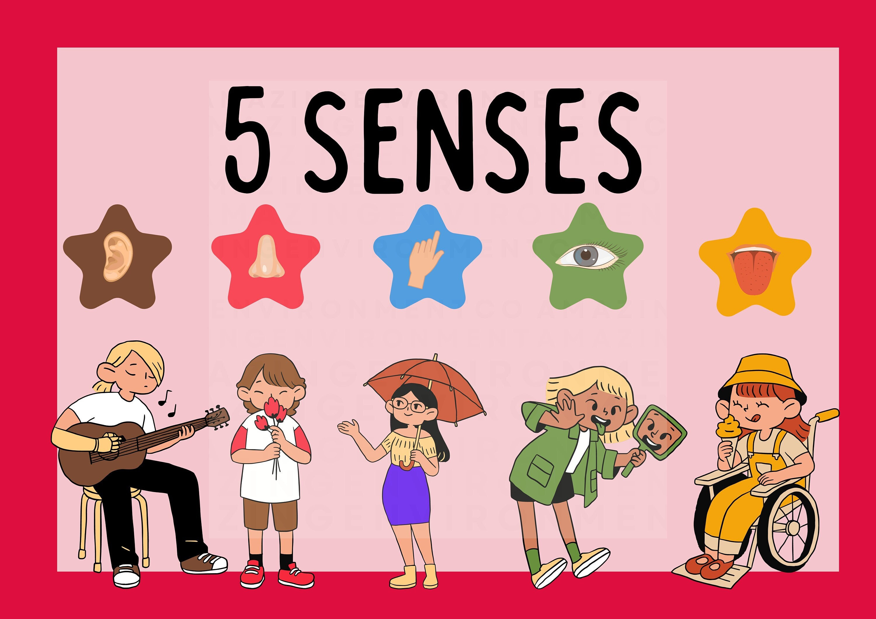 Five Senses Educational Flashcard Set for Toddlers and Preschoolers 5 ...