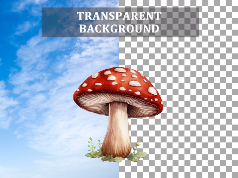 Conjunto de 20 - Imágenes prediseñadas de setas de acuarela, lindo ...