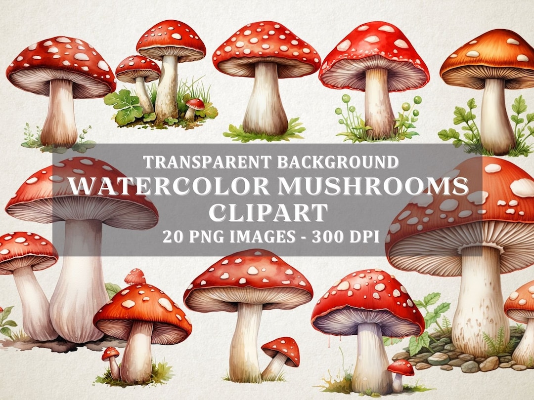 Set of 20 - Watercolor Mushroom Clipart Cute Forest Nature Toadstool ...