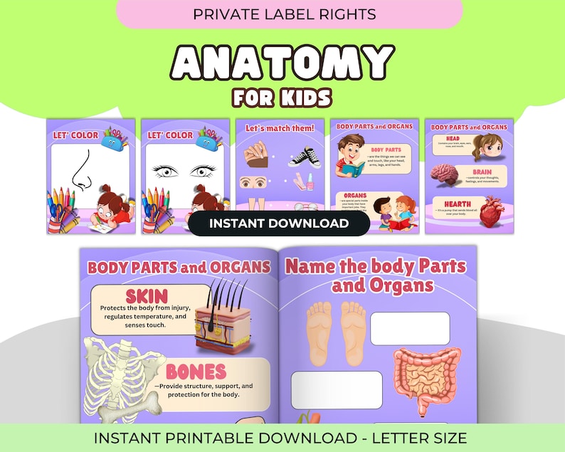 Kids Anatomy Busy Book: Organs & Body Parts - Homeschool Activity (PLR ...