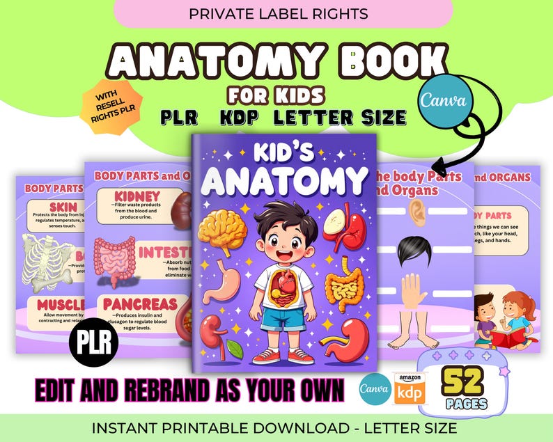 Kids Anatomy Busy Book: Organs & Body Parts - Homeschool Activity (PLR ...