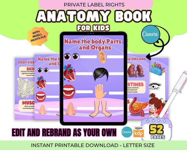 Kids Anatomy Busy Book: Organs & Body Parts - Homeschool Activity (PLR ...