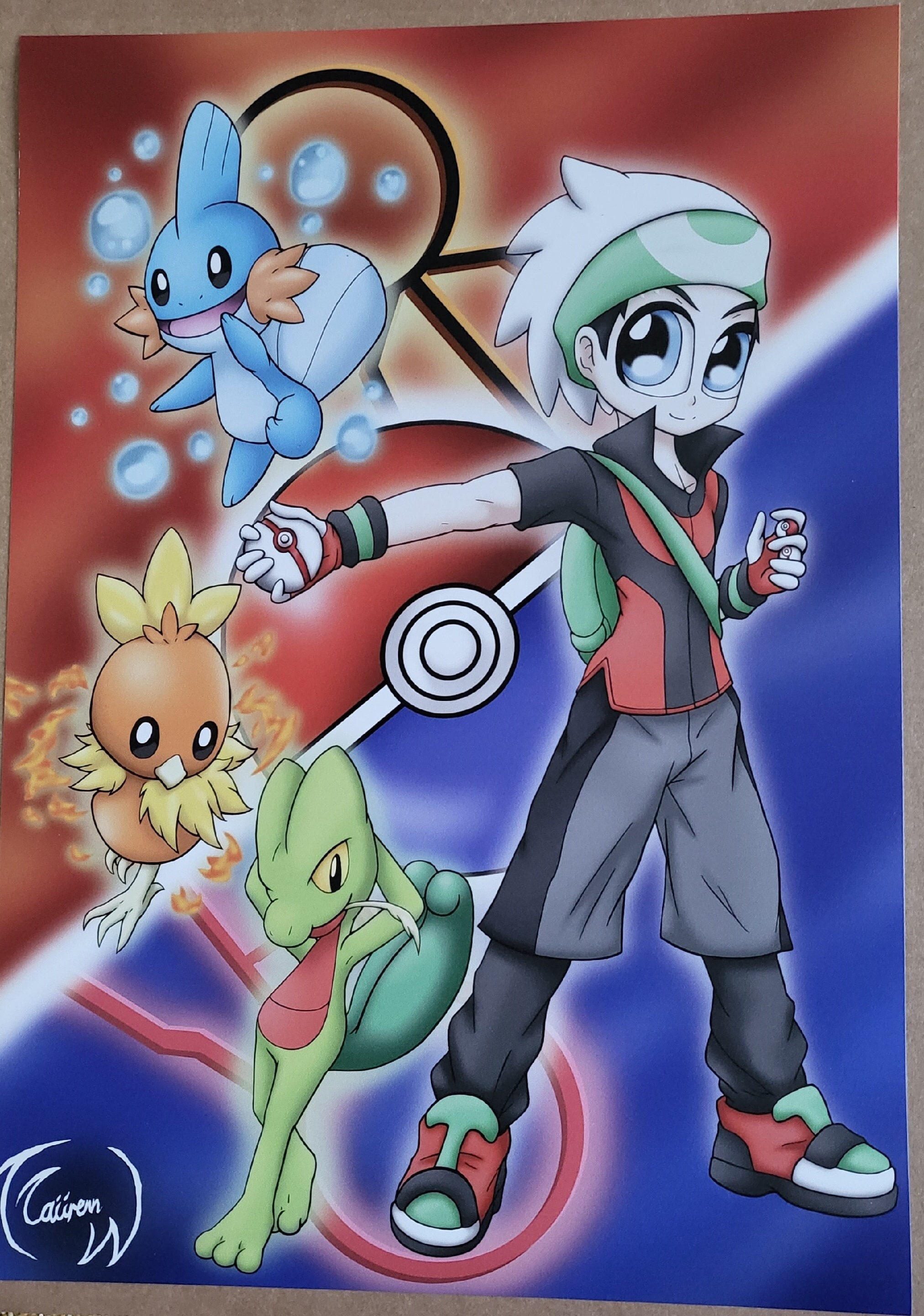 Pokemon Gen 3 Ruby A3 Poster - Etsy