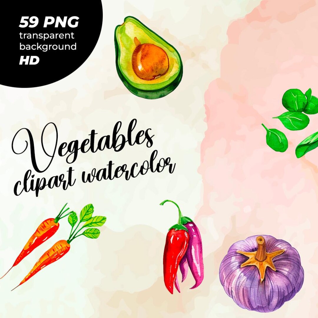 Watercolor Vegetable Clipart Bundle – Veggies PNG – Kitchen Clipart ...