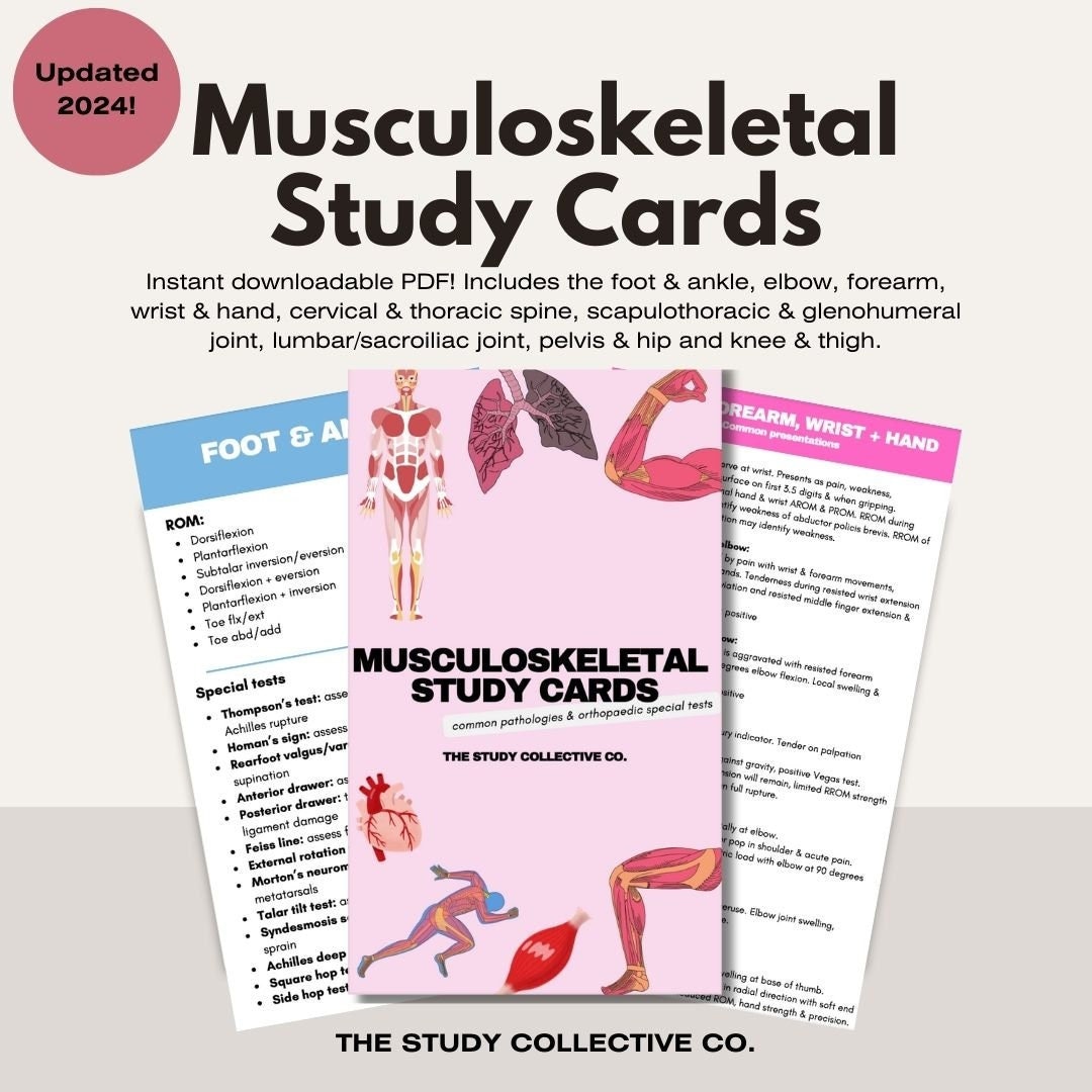 Musculoskeletal Study Cards | Anatomy Study Guide | Exercise Physiology ...