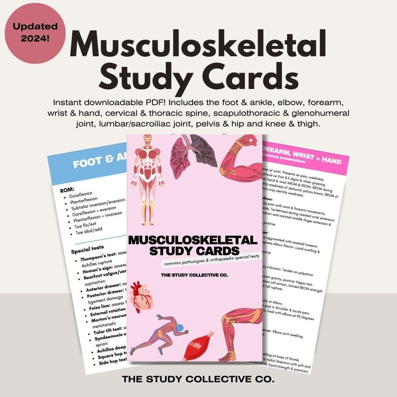 Musculoskeletal Study Cards: Anatomy & Exercise Physiology (PDF ...