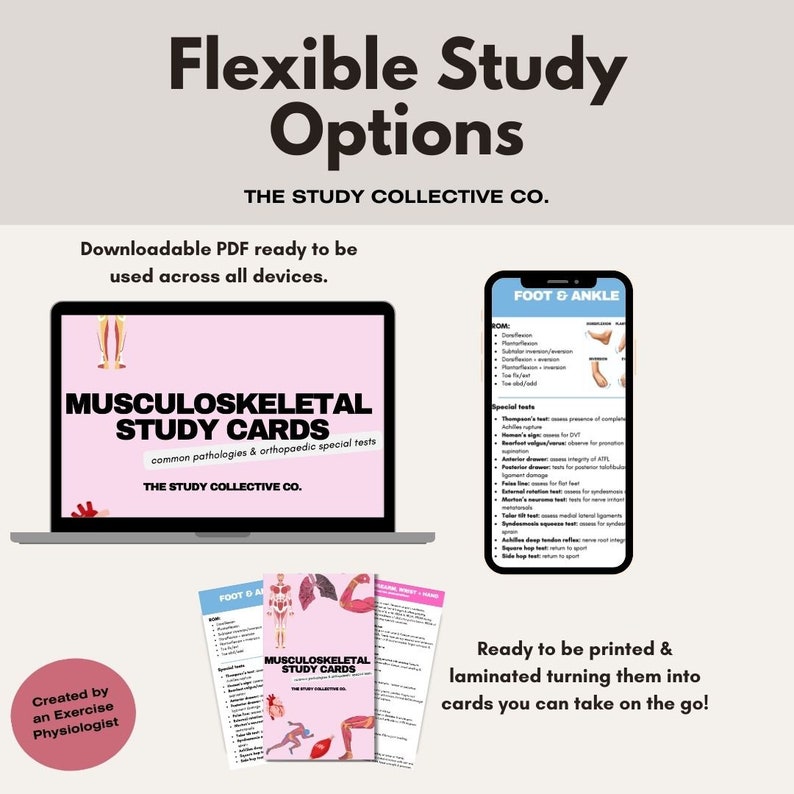 Musculoskeletal Study Cards | Anatomy Study Guide | Exercise Physiology ...